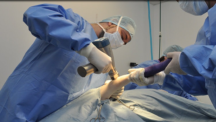 Pet Insurance Advice | Berwick Clyde Vet