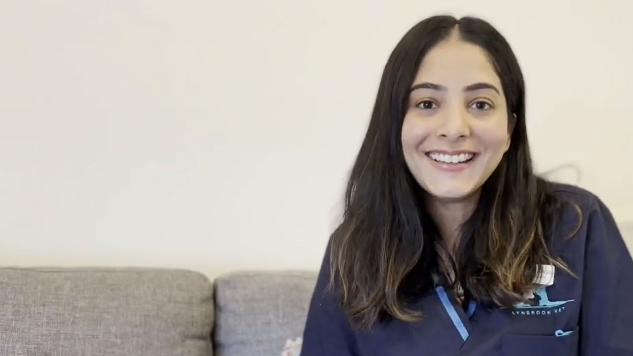 Dr Damanpreet (Daman) Kaur - Berwick Clyde Vet