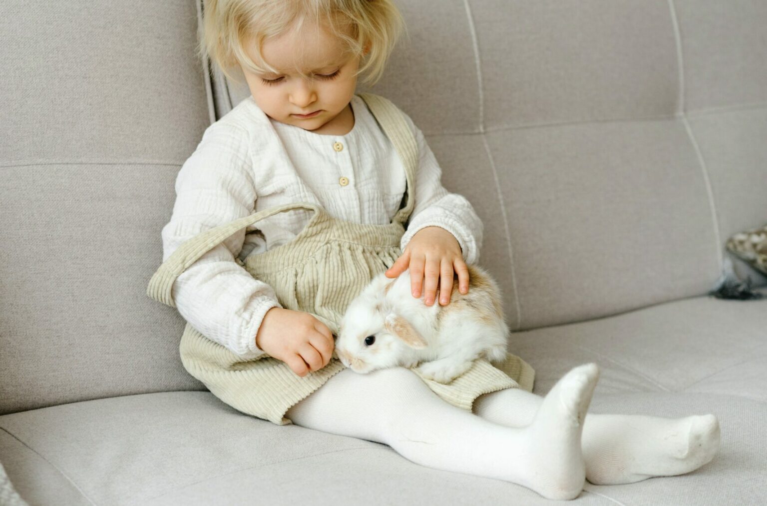 Rabbit Care Services | Berwick Clyde Vet