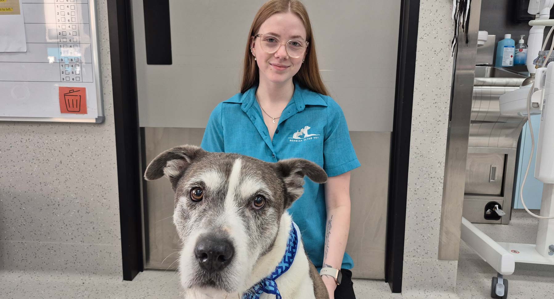 Asher Williamson - Berwick Clyde Vet